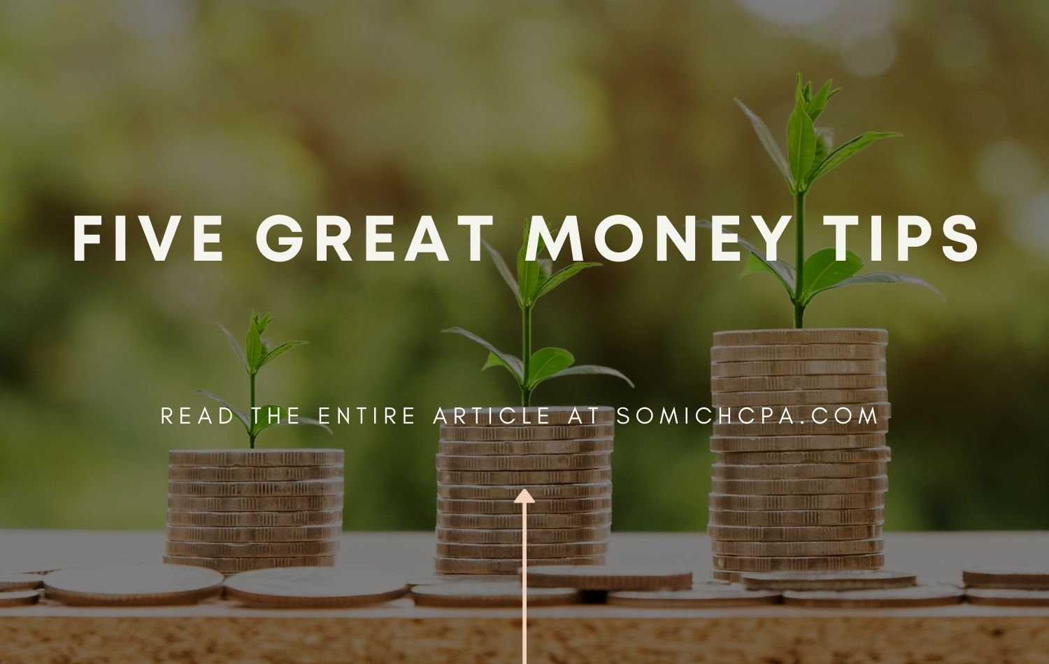 Five Great Money Tips | Somich & Associates CPAs